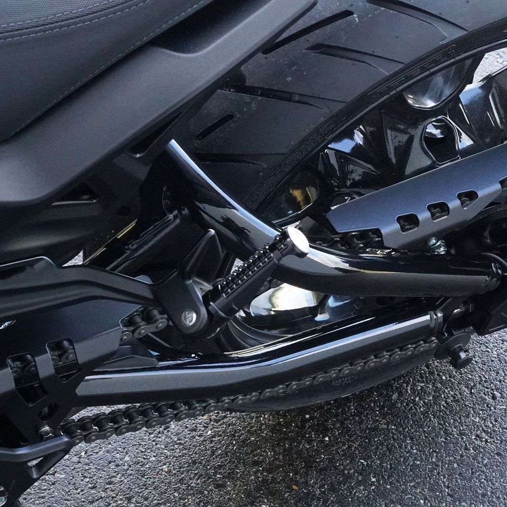 Wunderkind aluminium 2-part chain guard for Indian FTR 1200 - Moore ...