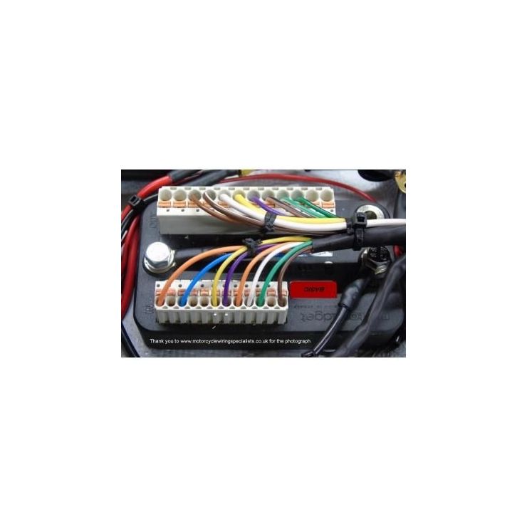 Motogadget mo.Unit Basic - Digital Control Unit - Moore Speed Racing
